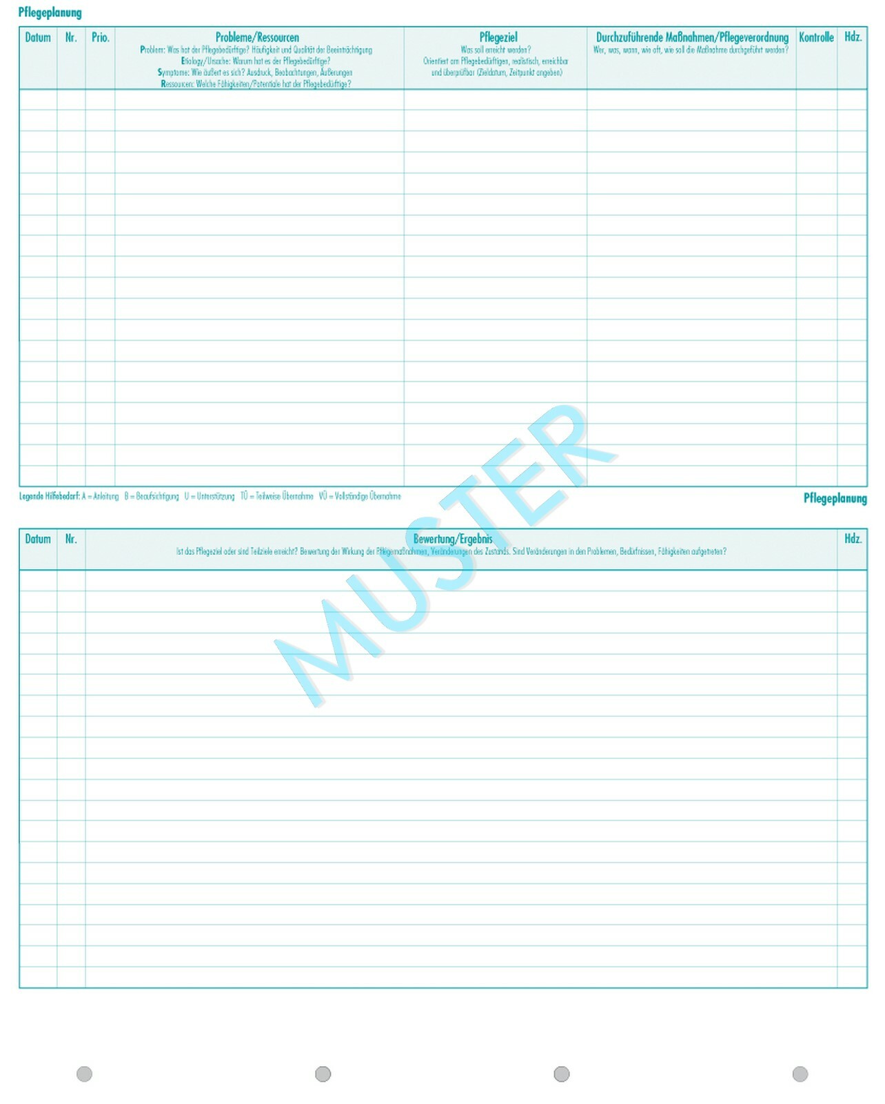 Pflegeplanung mit AEDL mit PESR-Ansatz - BOI Shop