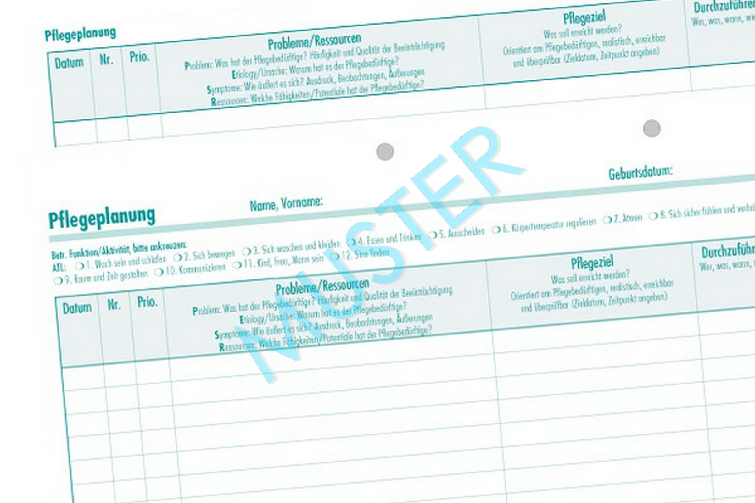 Pflegeplanung mit ATL (Juchli) mit PESR-Ansatz - BOI