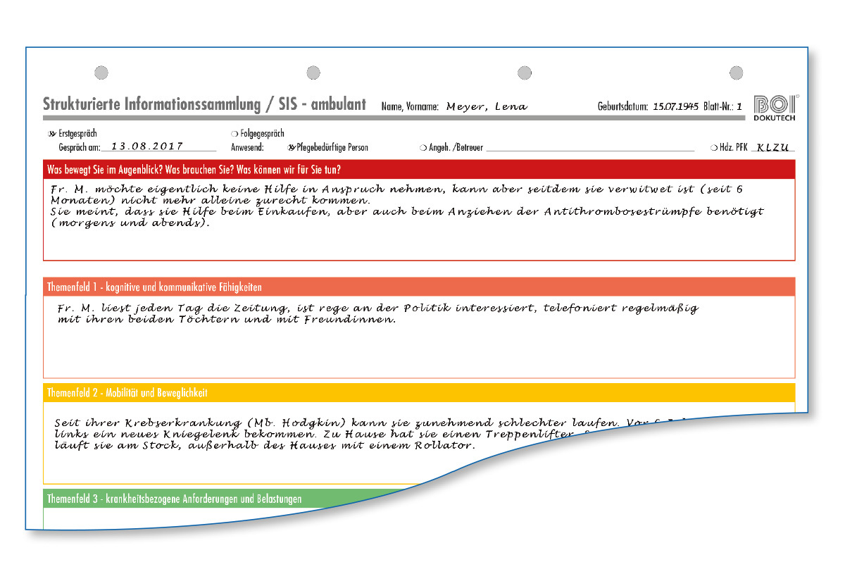 Strukturierte Informationssammlung (SIS) ambulant - BOI Shop